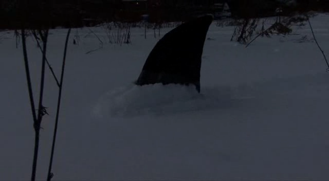 BliZZarraDas: Snow Shark: Ancient Snow Beast (2011)